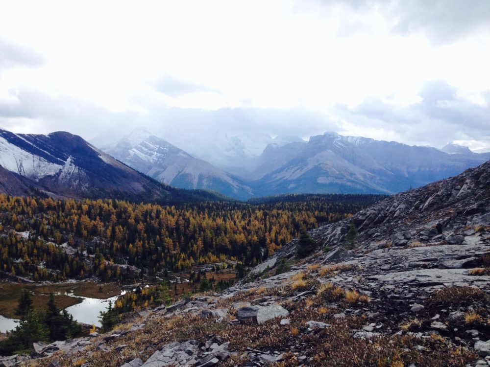 Banff Hiking Trails | 6 Must-Do Hikes in Banff