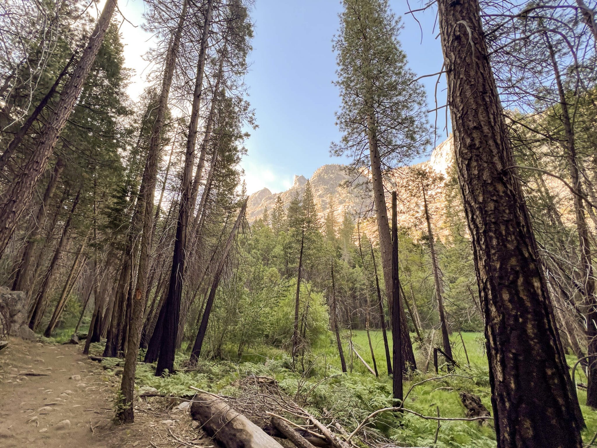 Rae Lakes Loop | The Ultimate Guide to Backpacking Rae Lakes