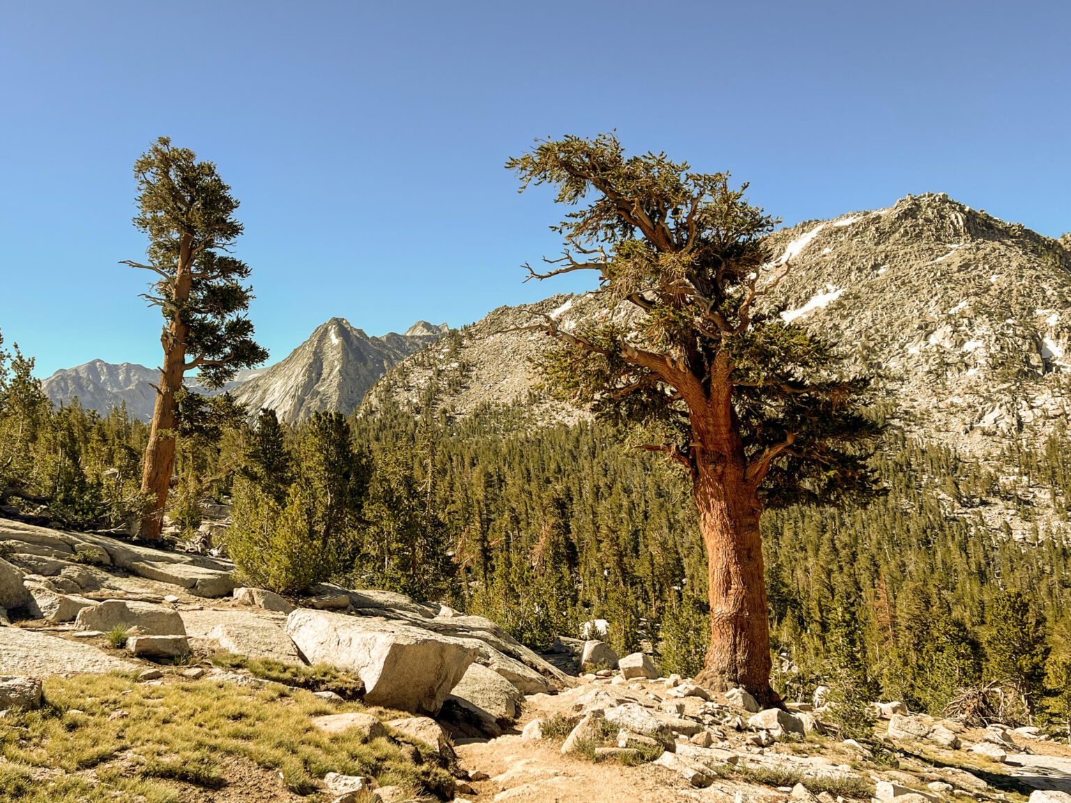 Rae Lakes Loop | The Ultimate Guide to Backpacking Rae Lakes