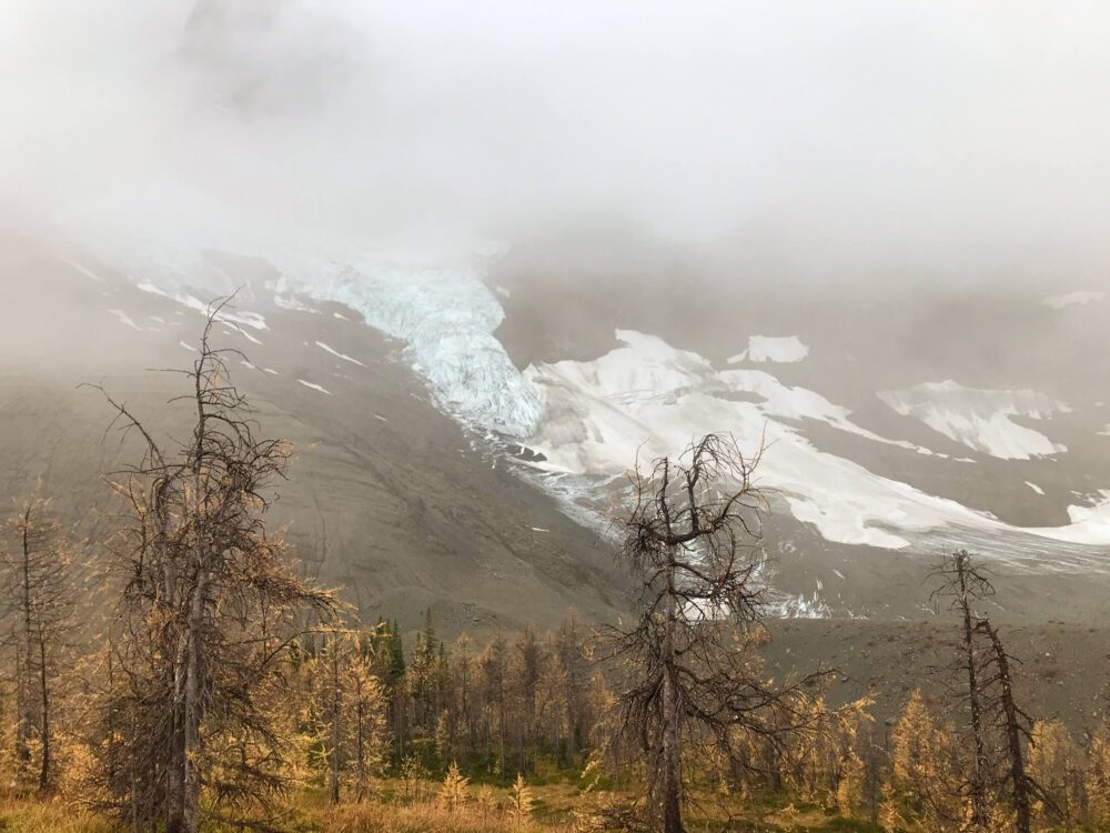 Rockwall Trail | The Ultimate Guide to Hiking the Rockwall