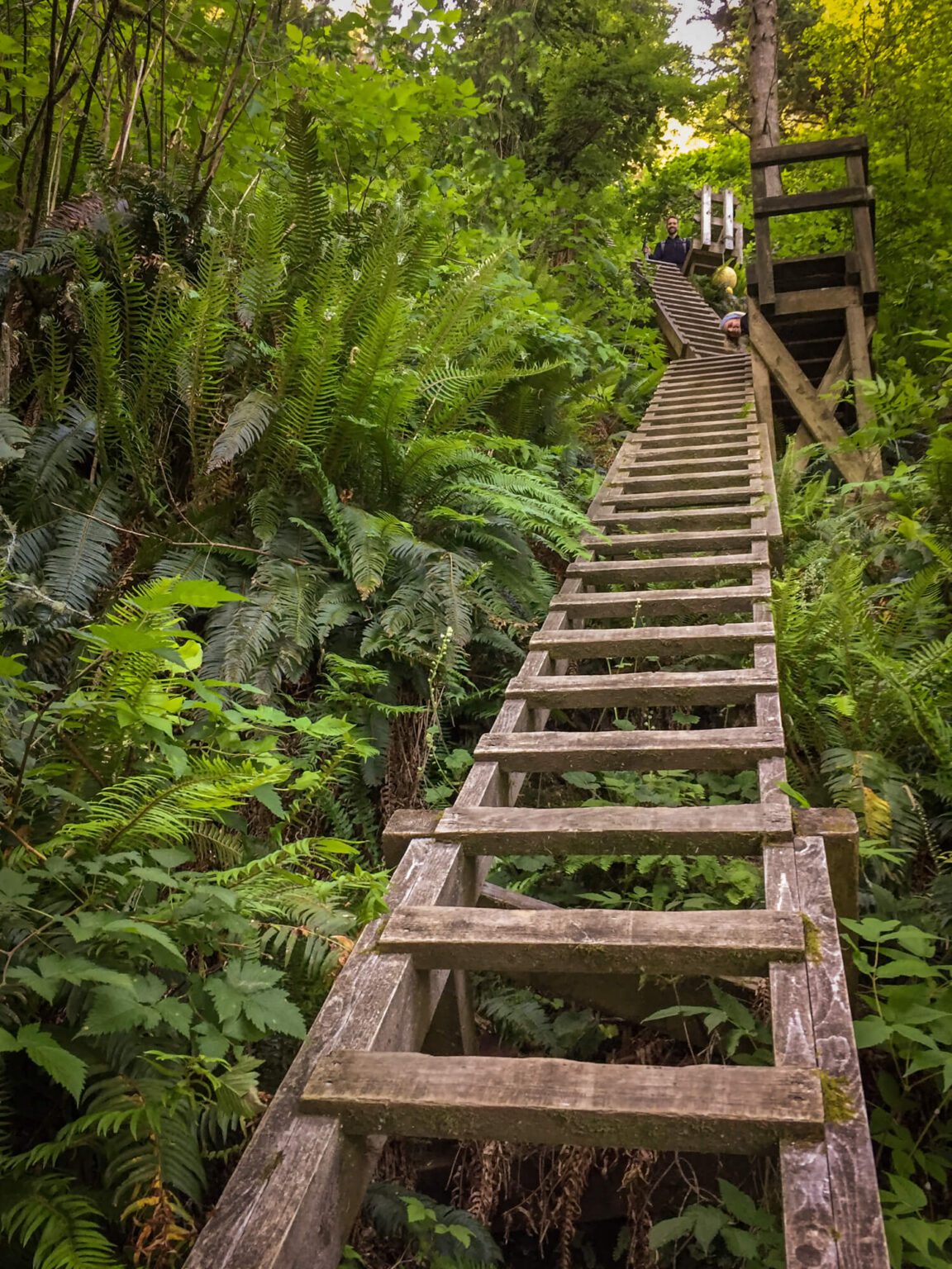 The West Coast Trail Packing List You MUST Read Before Hiking